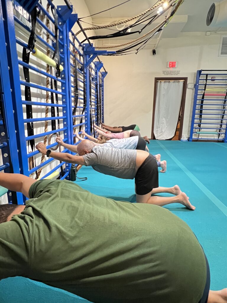 Get Your Body Score (0–100) in 3 Minutes - Evolve to Fit